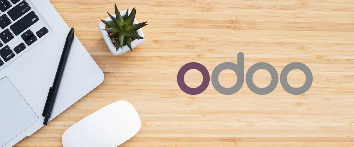 Odoo's Omnichannel | Something Somewhere Consulting